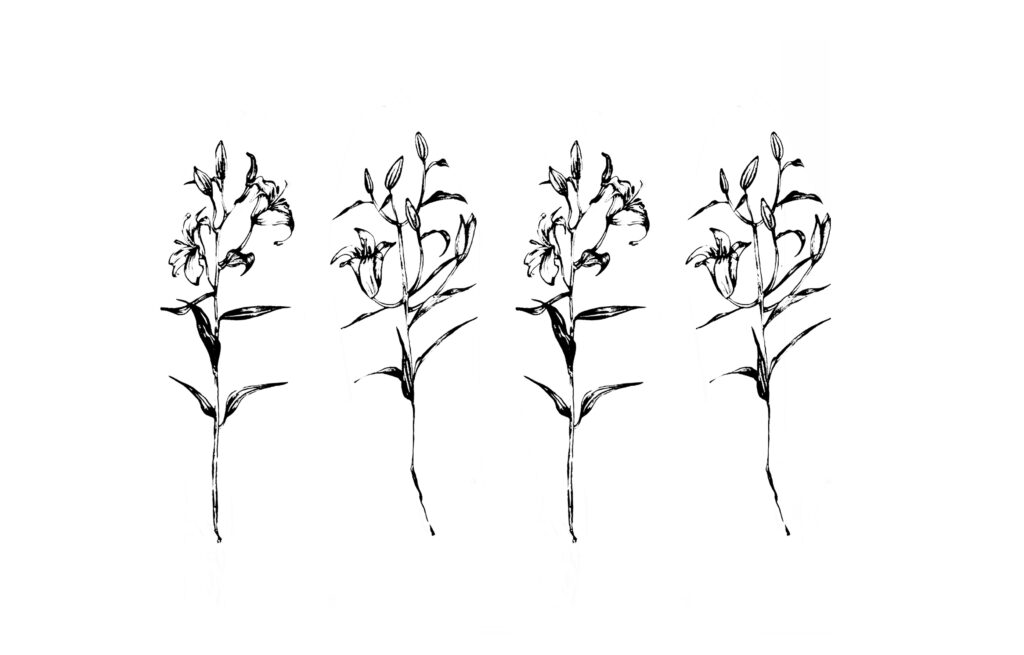 22SS YUKA MORI × TKR 'Hand drawing-2' - TOKIARI